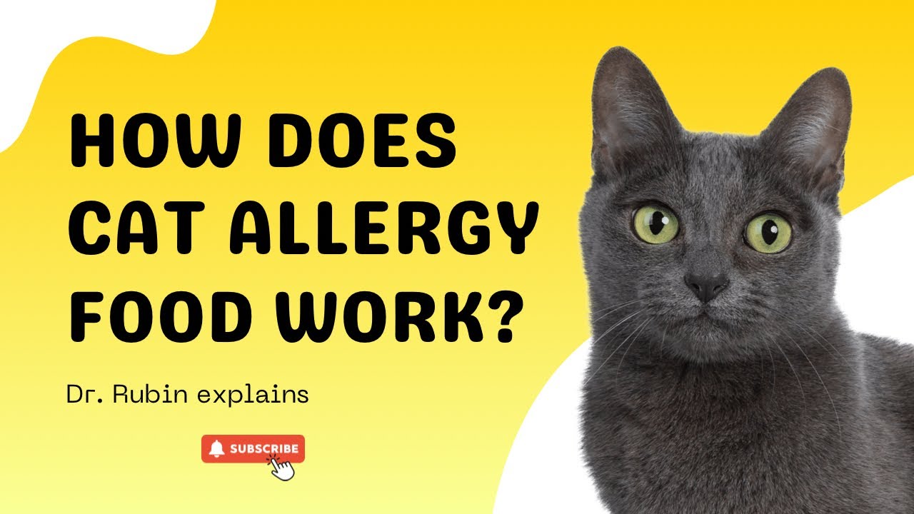 How does the cat allergy food work? - YouTube
