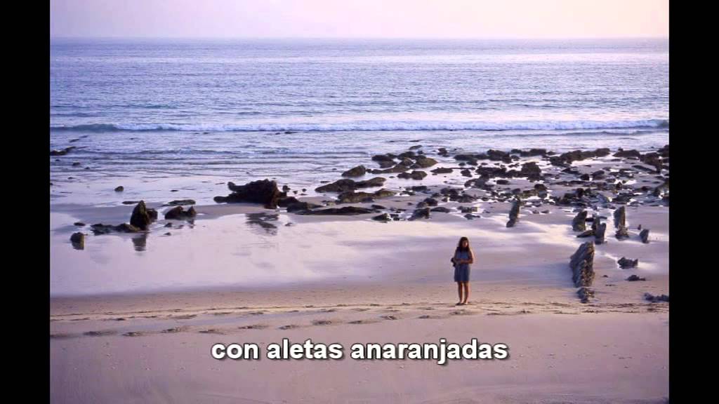 Trigla Lyra (Experiencia veraniega "La Poesía no muerde") - YouTube