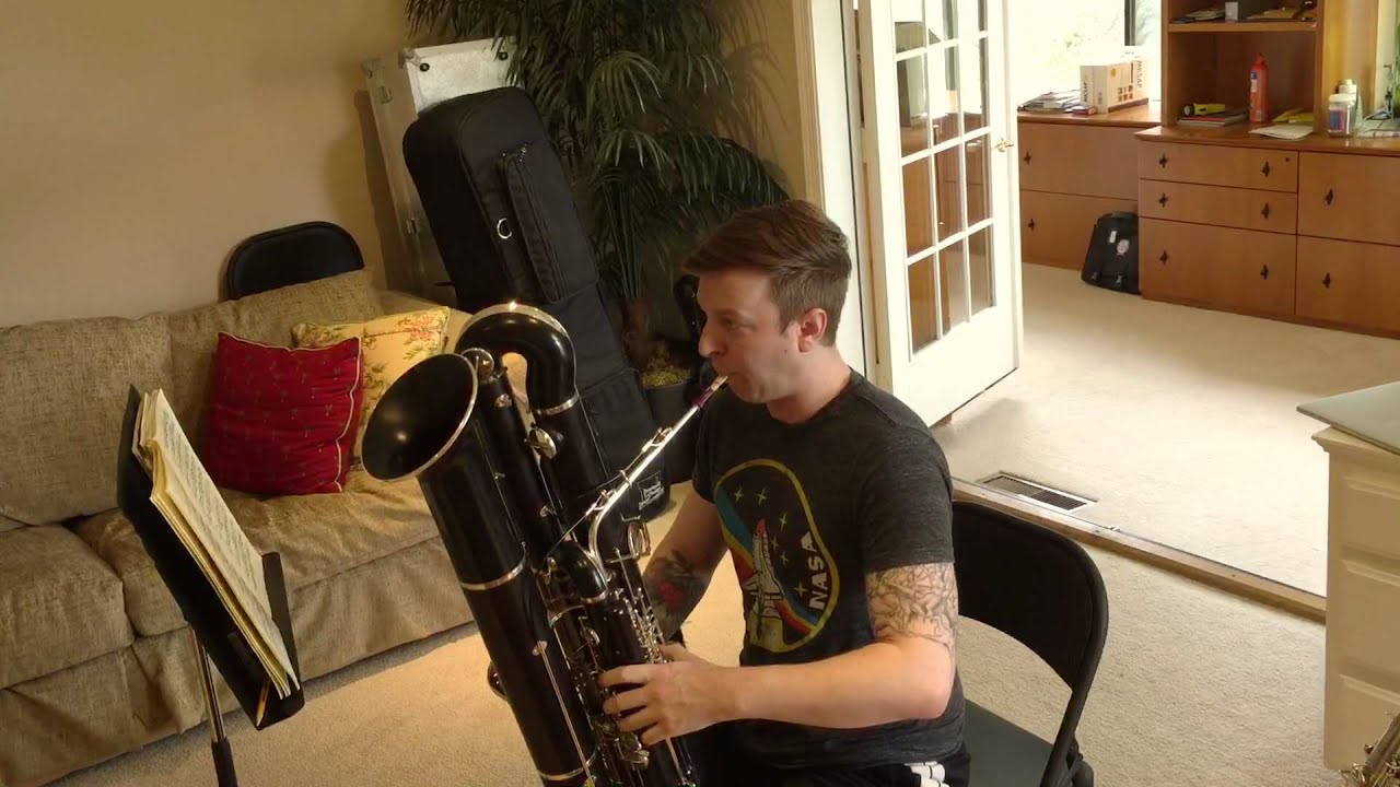 Contraforte Bach Cello Suite 2 - YouTube