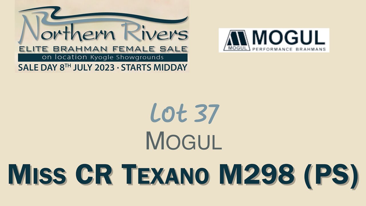 Lot 37 Mogul Miss CR Texano M298 (PS) - YouTube