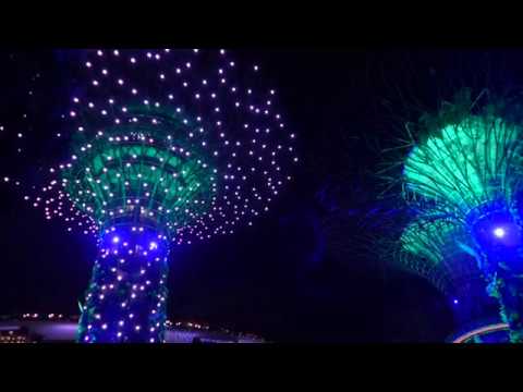 supertree grove light show at Gardens by the Bay Singapore - YouTube