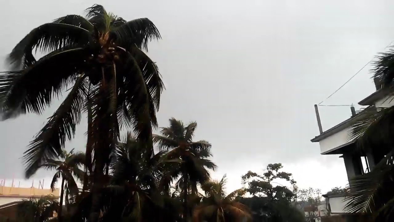 Rainy Day in Bangladesh, Rainy season, Storm with rain fall, wind with ...