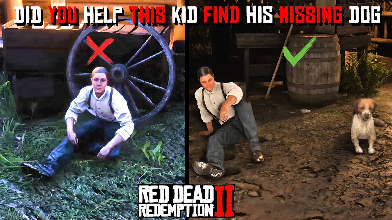 Did You Help This Kid To Find His Missing Dog OR Not In Red Dead ...