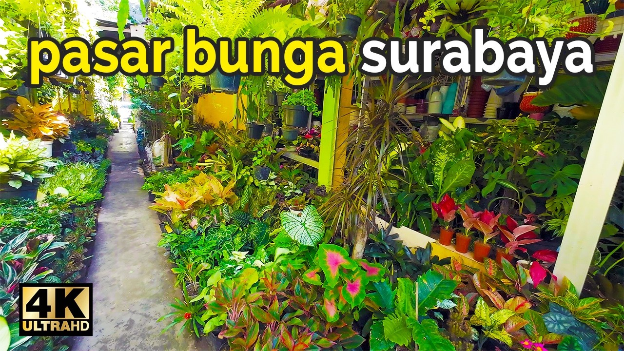 Keliling Pasar Surya | Kondisi Terkini Pasar Bunga Bratang Surabaya di ...