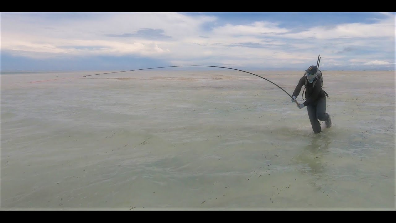 Fish Geometry: Understanding Angles and the Power Curve for Fly Fishing ...