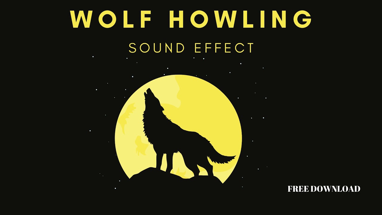 Wolf Howling - Sound Effect - Free Download - YouTube