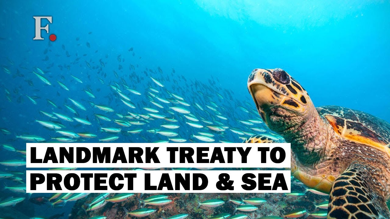Over 100 Nations Seal “30 By 30” UN Global High Seas Biodiversity Pact ...