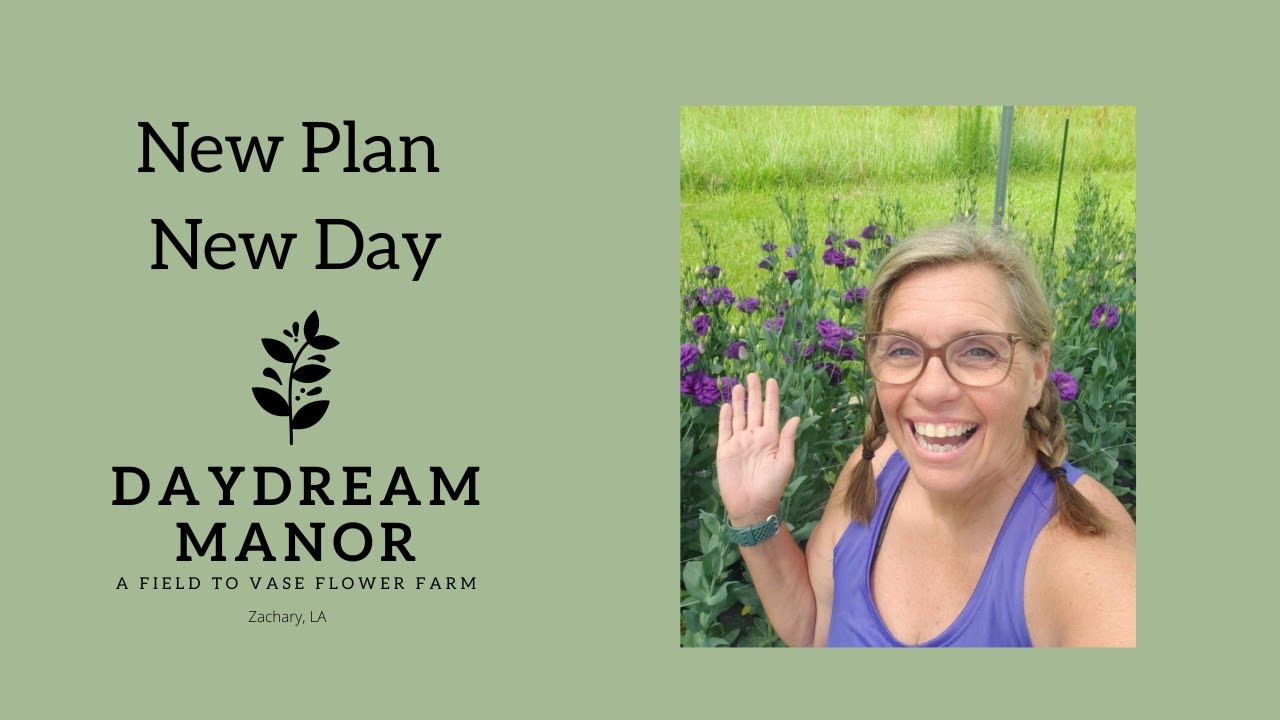 A New Strategic Plan? | Louisiana Flower Farm - YouTube