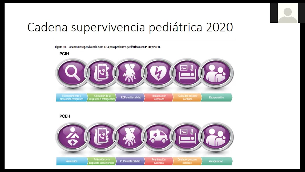 Fundamentos del RCP - YouTube