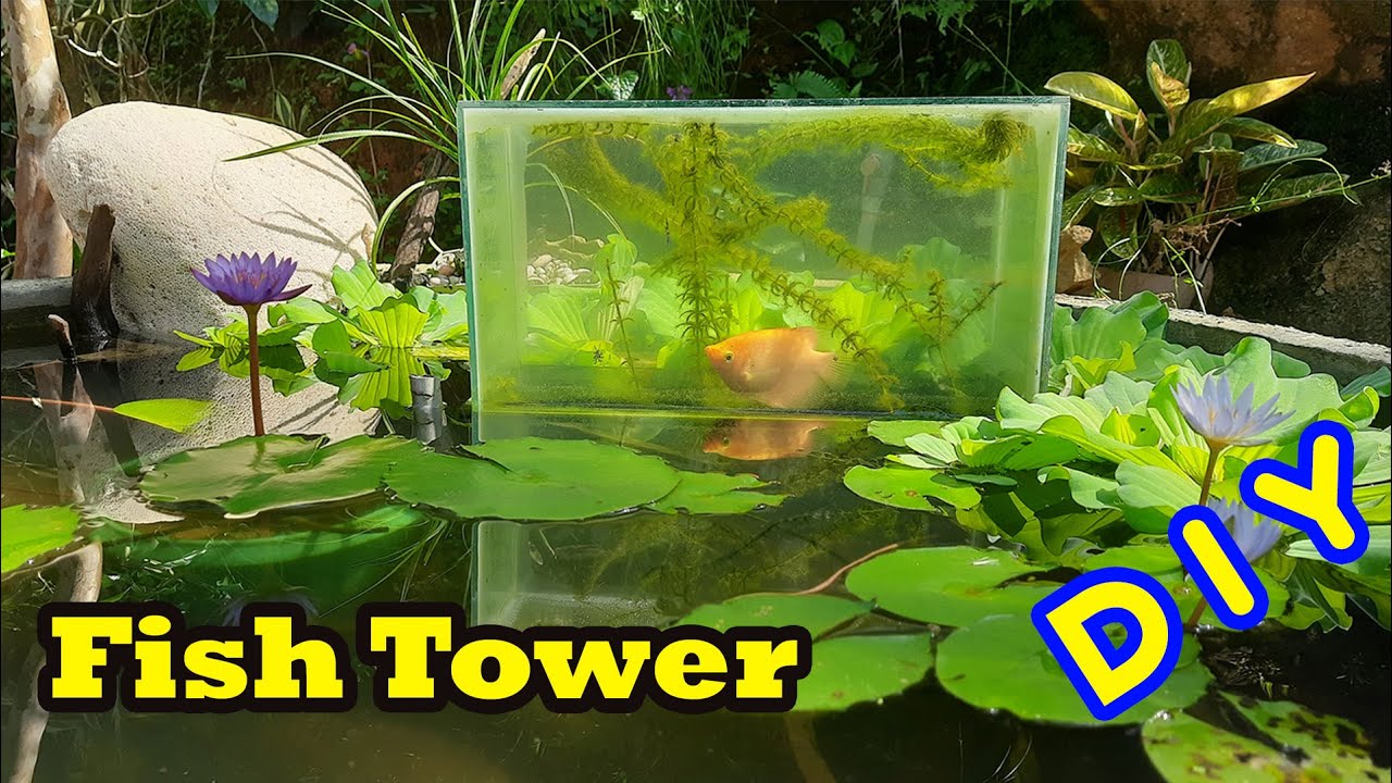 The secret behind the Fish Tower in the Pond - YouTube