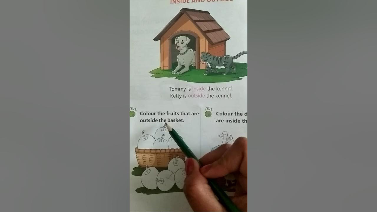 Pre Number Concepts YouTube pre-number-concepts-youtube