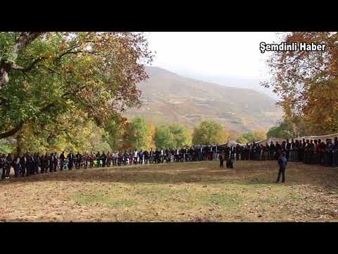 Şemdinli düğünleri, Feyyaz Herki ile Hozan Cevdet Lê Dinê