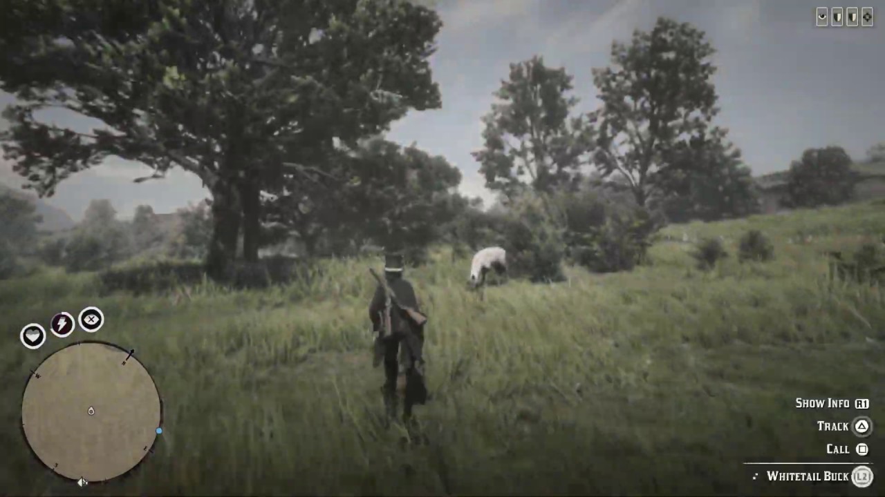 (PS4 RDO) Go for a Walk, Lasso a Deer - YouTube