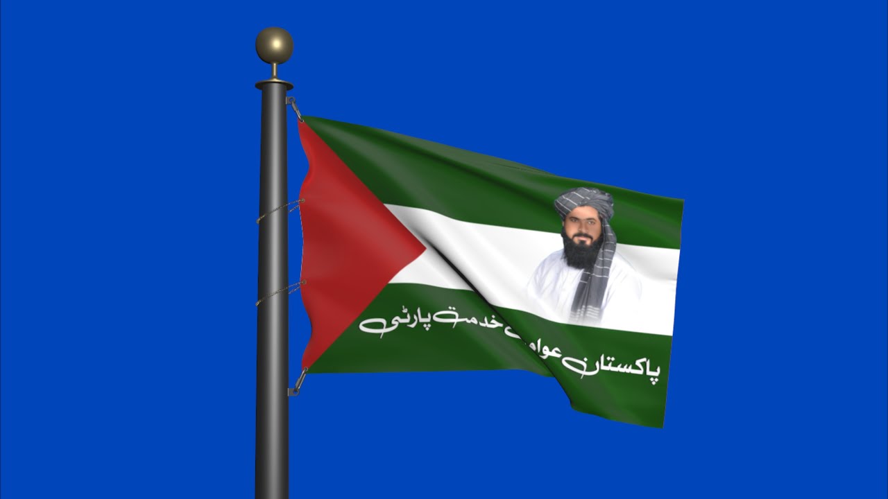 Flag of the Pakistan Awami Khidmat Party | PAK Party| (پاکستان عوامی ...