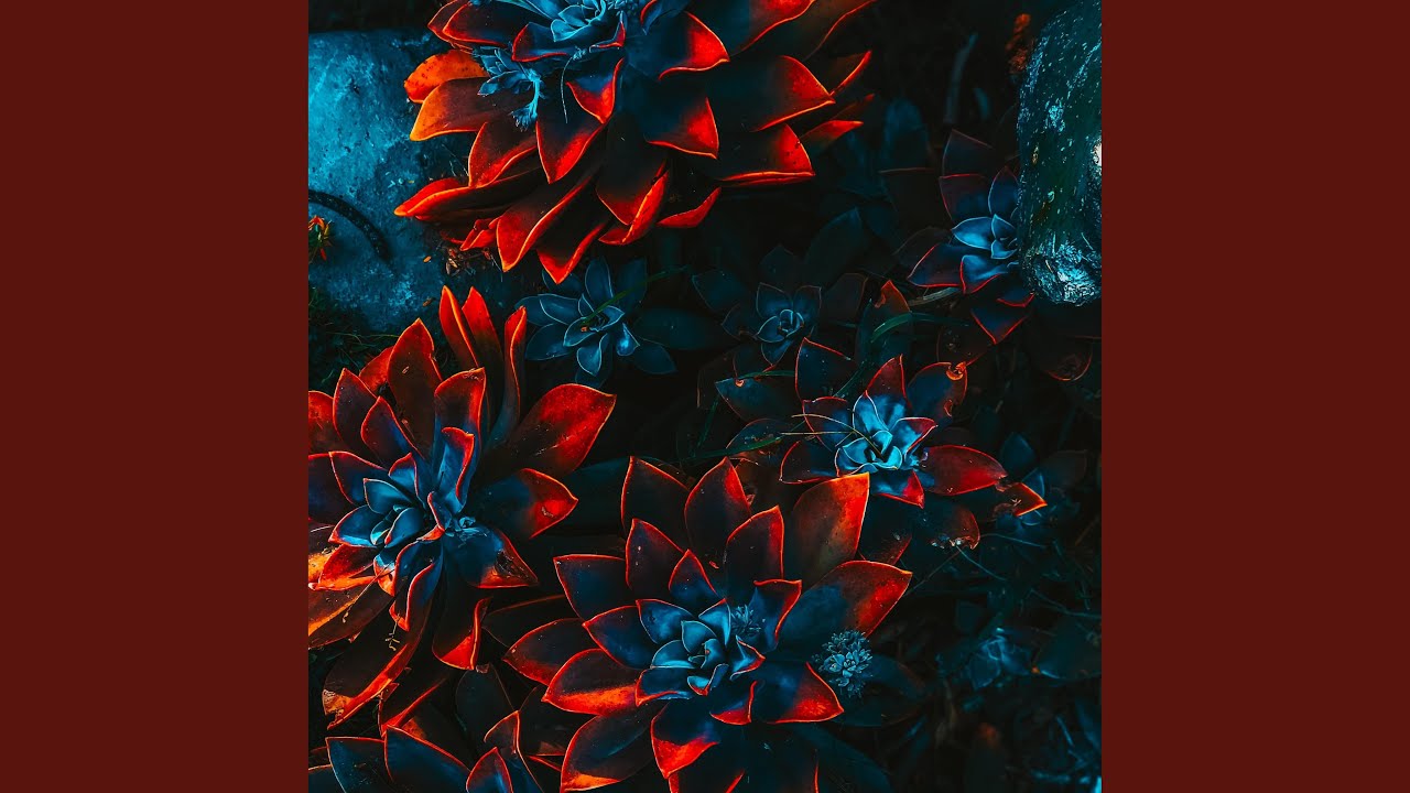 Broken Circus - YouTube