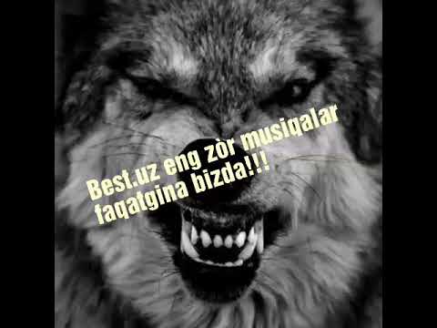 Sakit samedov super pesni