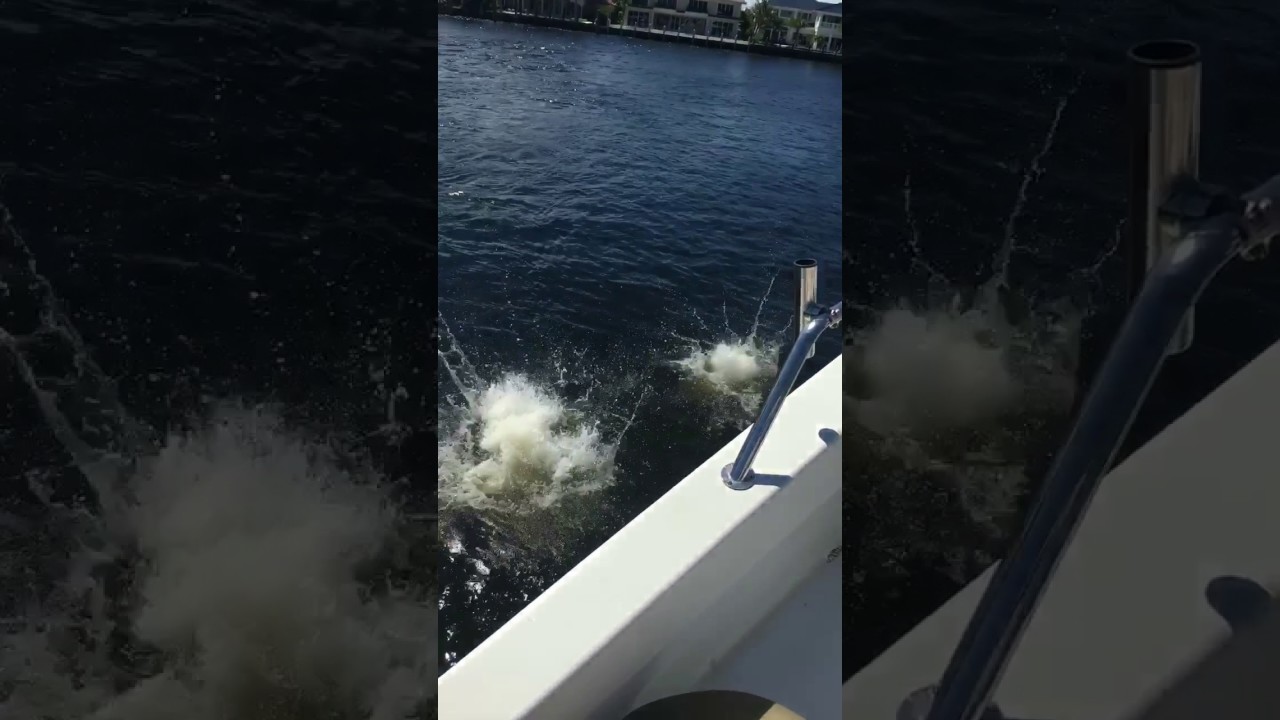 CRAZY BOATING ACCIDENT - YouTube