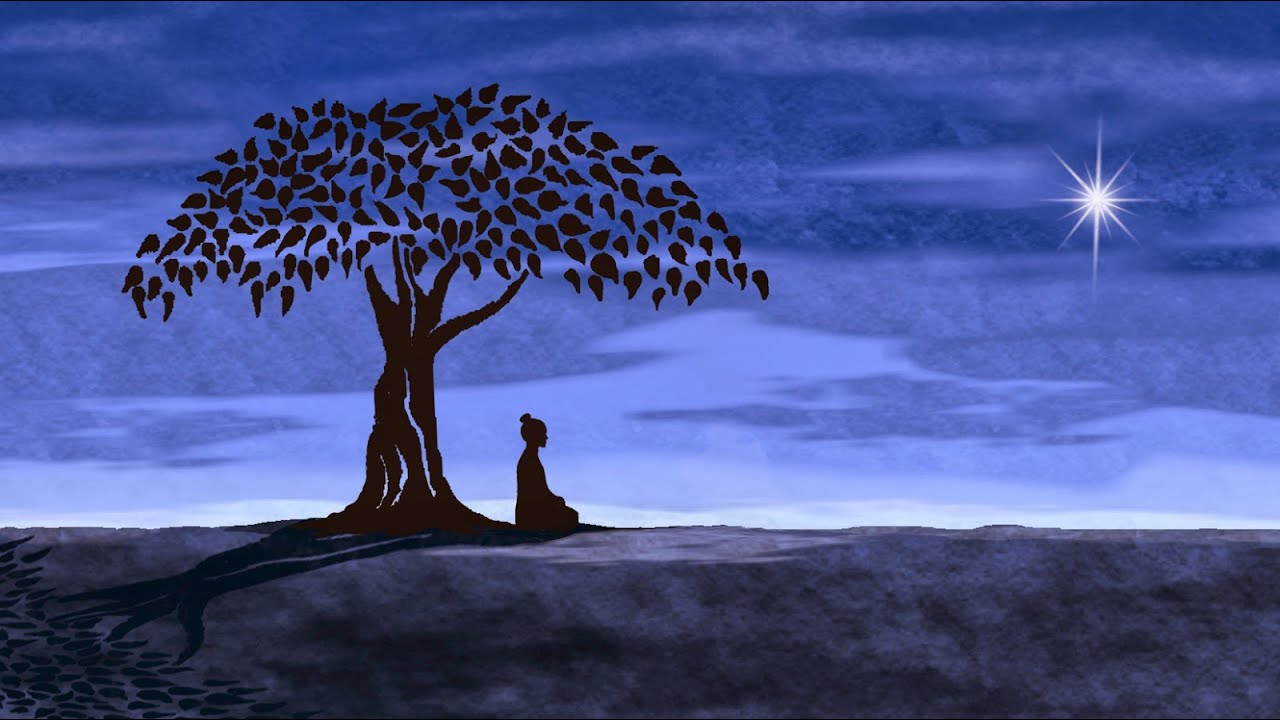 FPCN Sunday Service! January 28th: Each of Them Will Sit Under His Vine ...