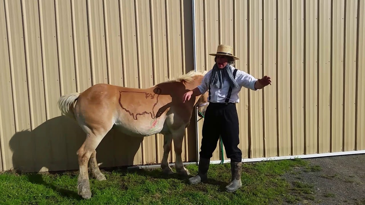 Jacob the Amish weatherman, hurricane Irma forecast - YouTube