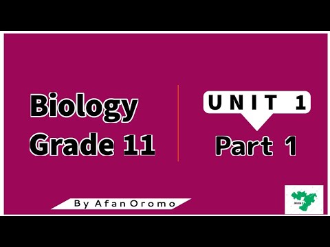 Grade 11 Biology Unit 2 Part 1 |Animals| by Afan Oromo New Curriculum ...