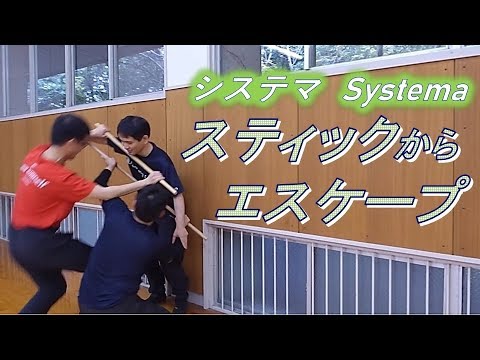 システマ：スティックからエスケープ（Systema：Escape from sticks） - YouTube