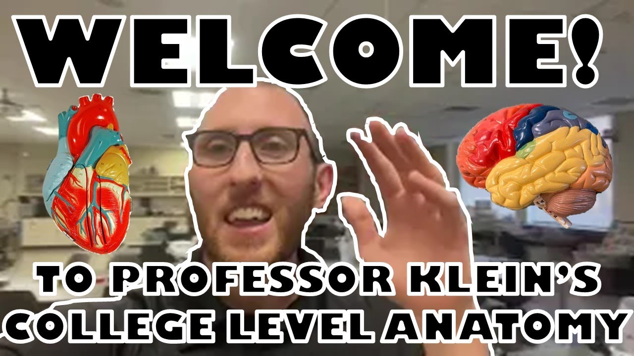 Welcome to Professor Klein’s College Anatomy & Physiology - YouTube