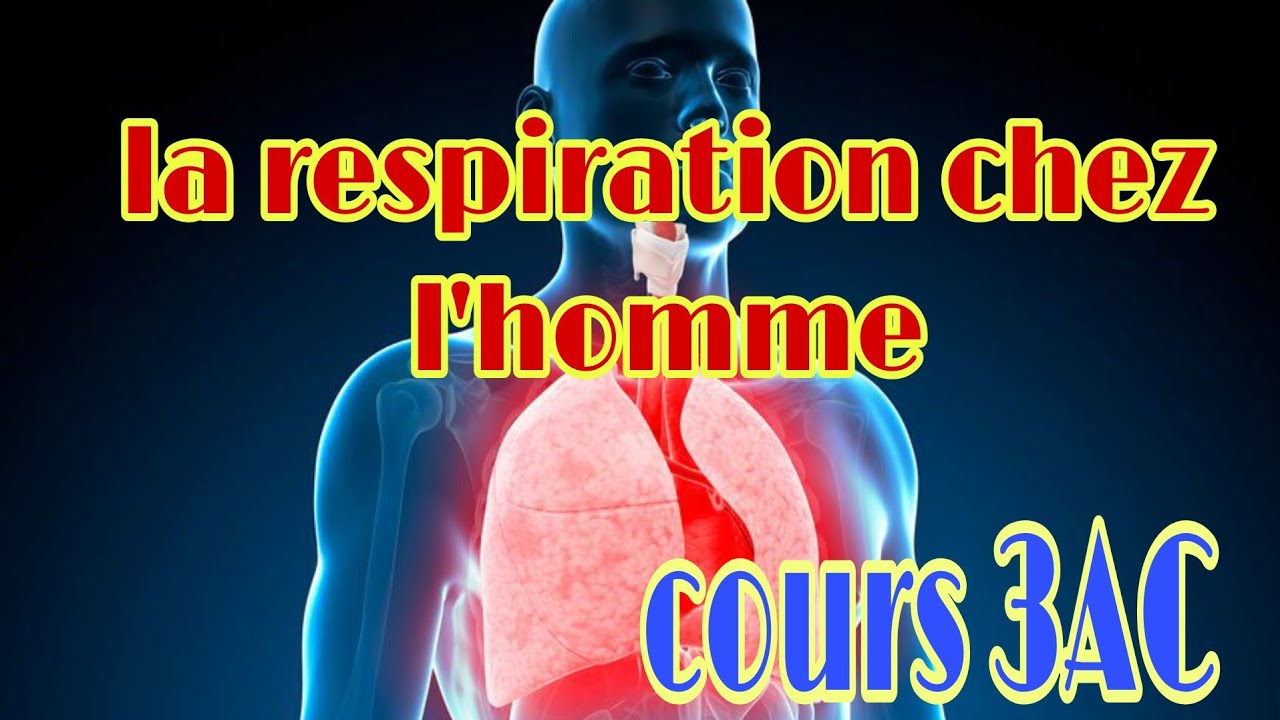 le résumé de la respiration chez l'homme 3ac تلخيص درس التنفس - YouTube