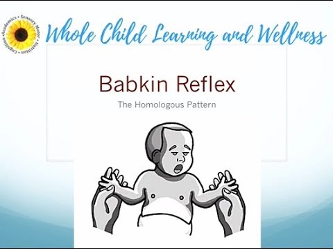 12 Babkin Reflex - YouTube