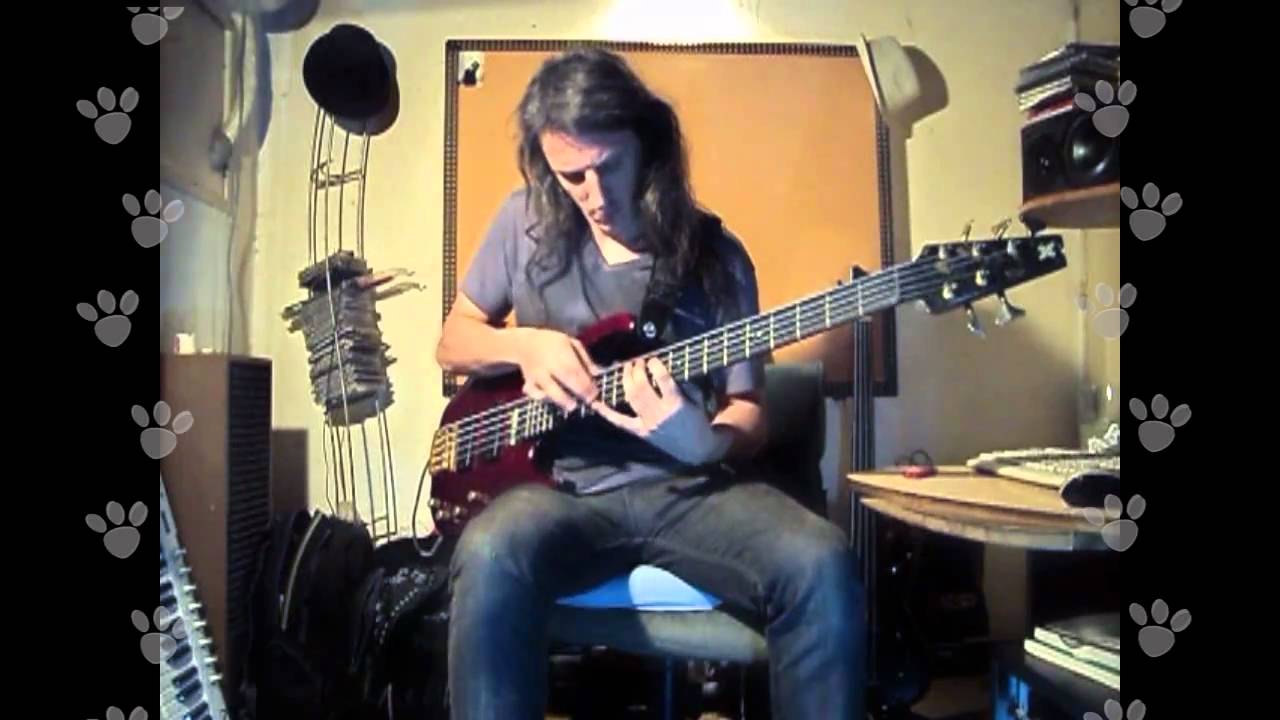 The Pink Panther - Tapping Bass - La Pantera Rosa Acordes - Chordify