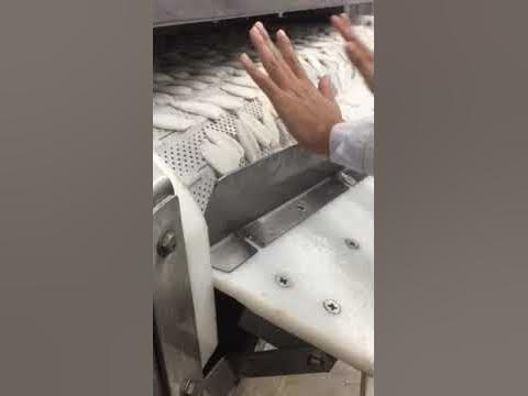 Băng chuyền IQF - YouTube