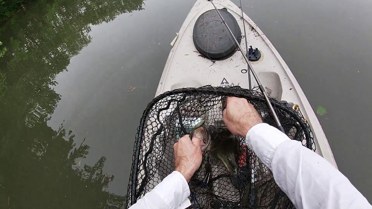 Drainage ditch fishing? - YouTube