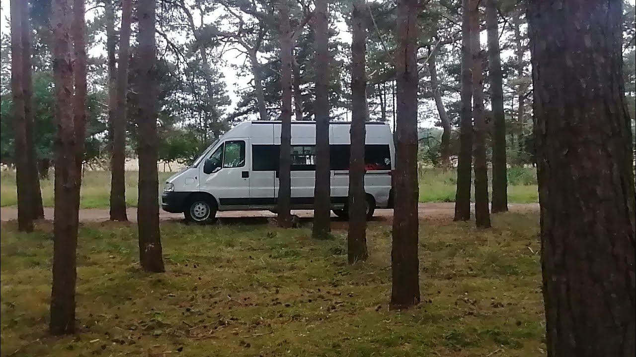 wild camping in Thetford forest - YouTube