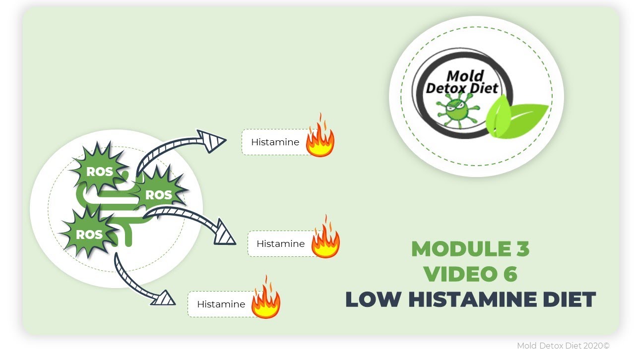 MDD - Module 3 Video 6 - YouTube