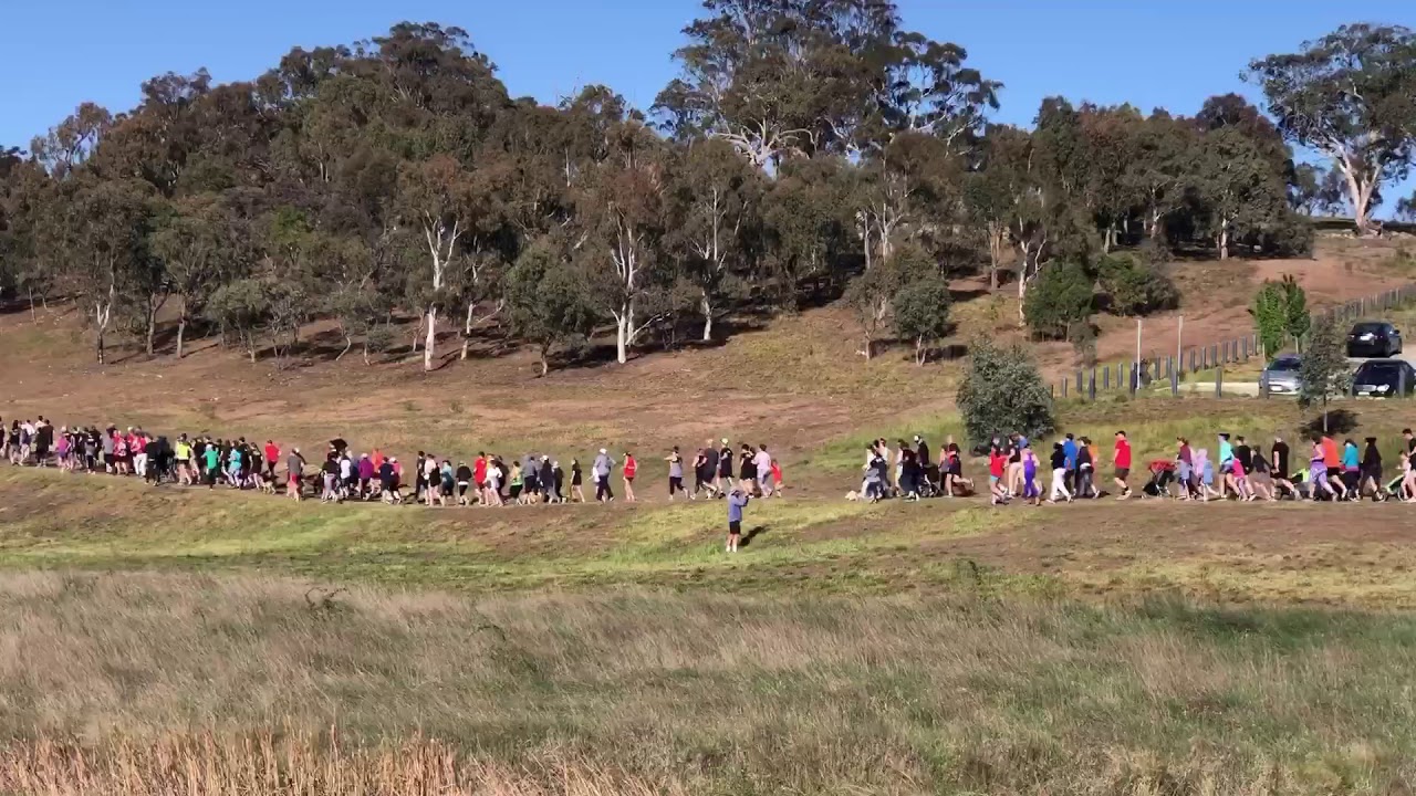 Parkrun Wagi Bridge Start - YouTube