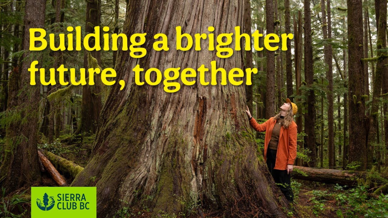 Building a brighter future, together - YouTube