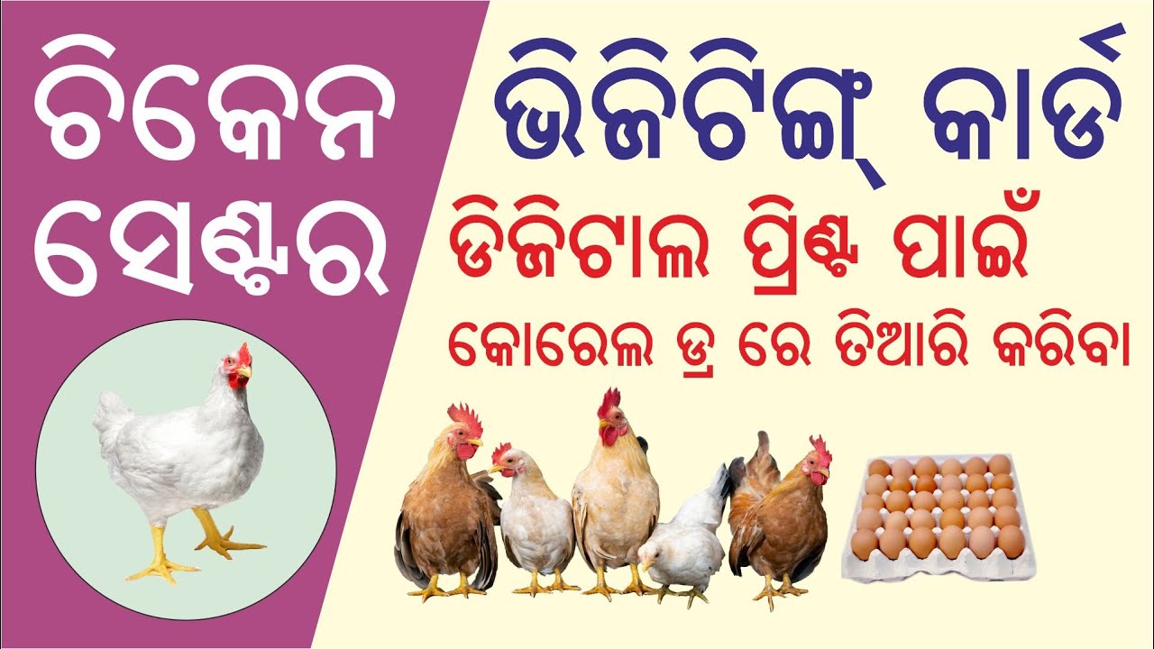 କୁକୁଡ଼ା ଦୋକାନ ପାଇଁ ଭିଜିଟିଂ କାର୍ଡ କୋରେଲ ଡ୍ର ରେ କରିବା | Digital Visiting ...