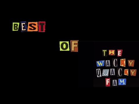 Best of The Wacky Quacky Fam - YouTube