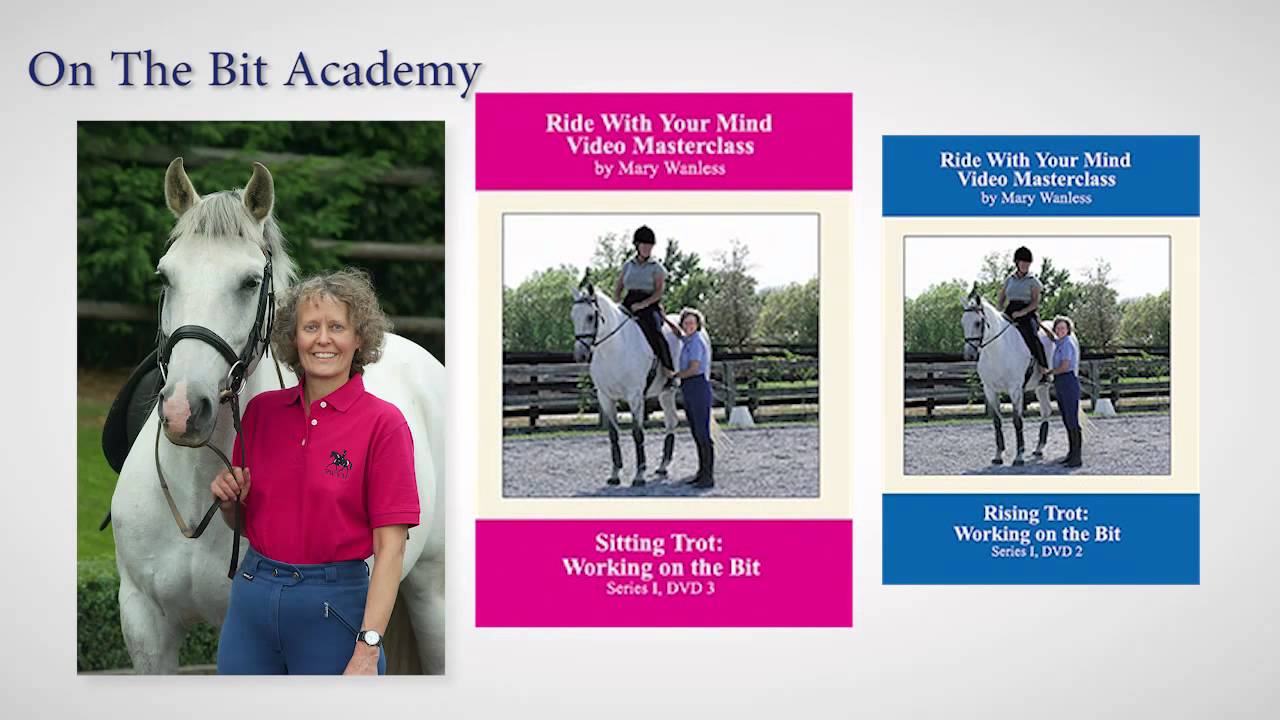 The On The Bit Academy - YouTube