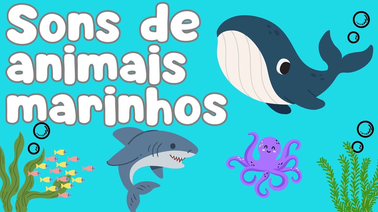 Descubra os Sons do Mar: Conheça os Animais Marinhos - YouTube