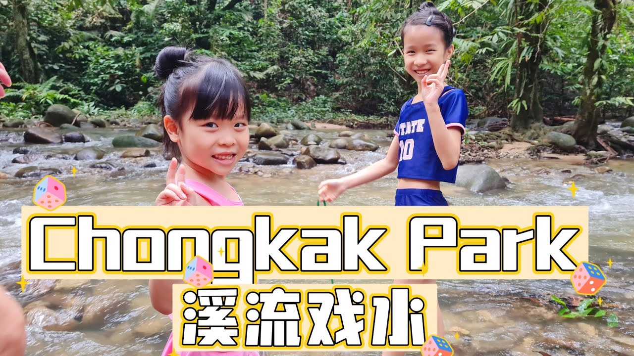 大清早出发到 Chongkak Park, Hulu Langat 溪流玩水。 小朋友们一定要有大人带才可以下水去玩哟！自己下水玩是非常危险的 ...