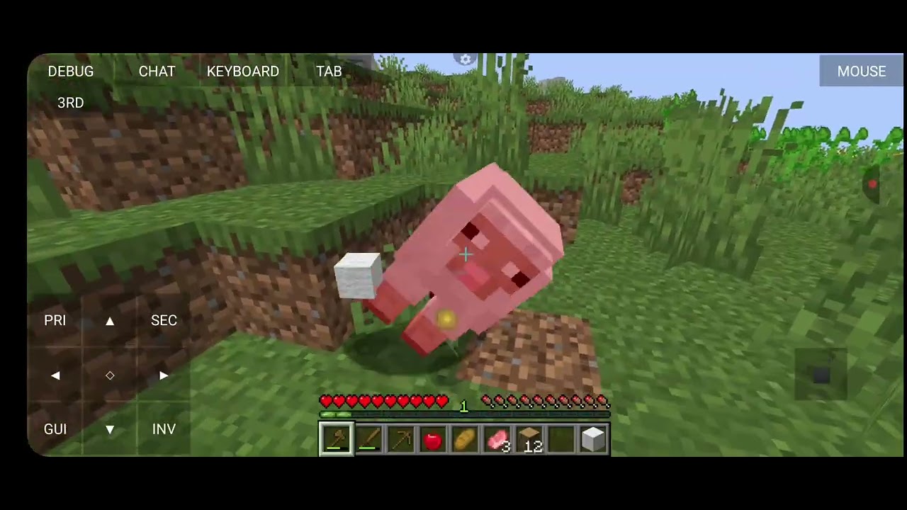 main minecraft java suvival part1 - YouTube