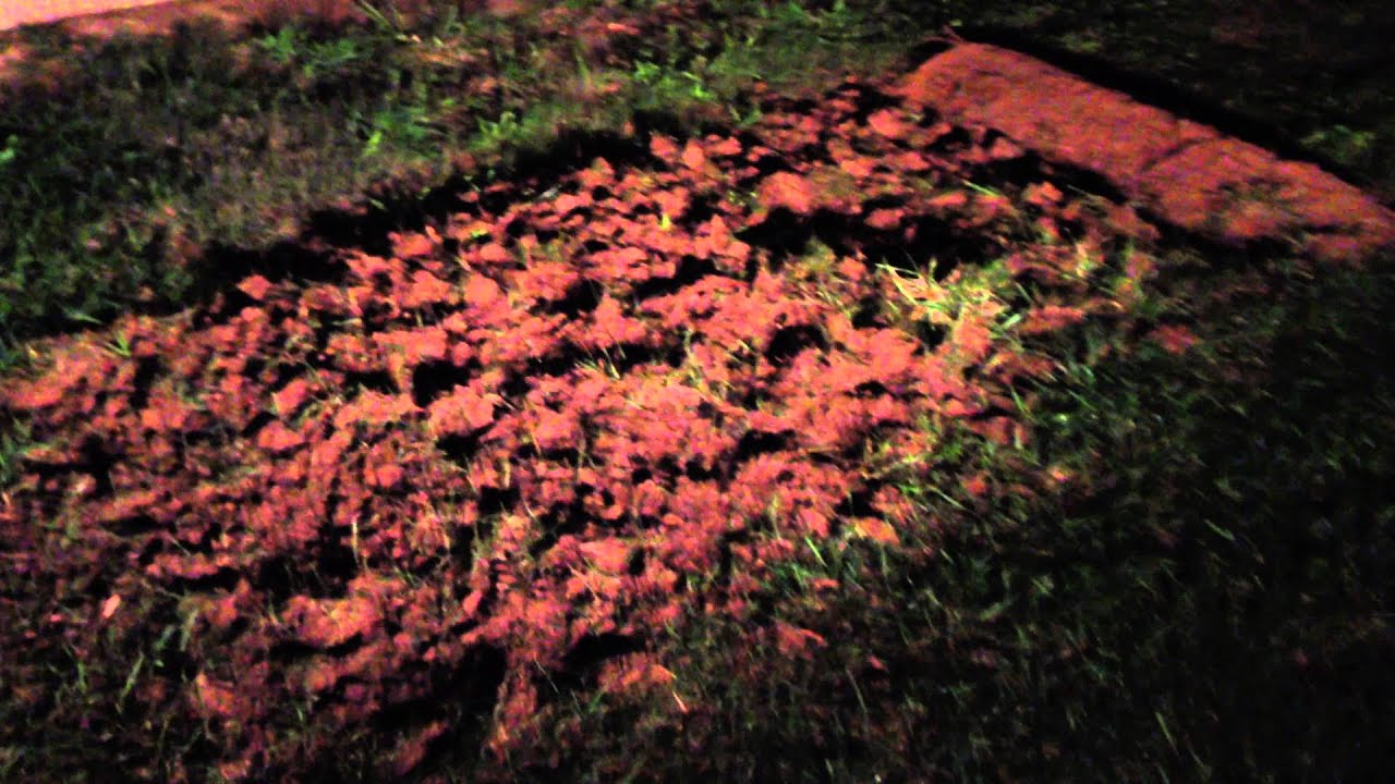 Snapper 1855a with MF4850 tilled up land 1st pass - YouTube