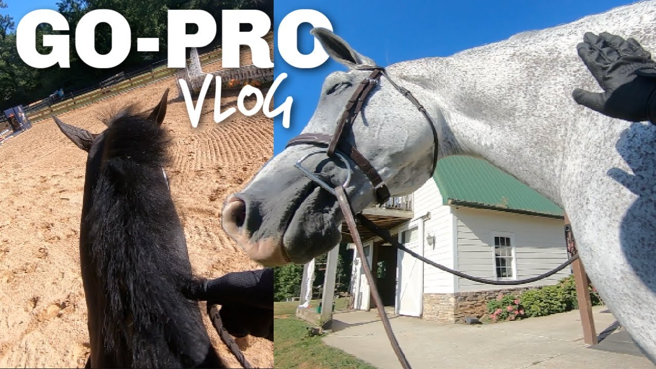 GO-PRO horse riding vlog! | Helmet cam view - YouTube