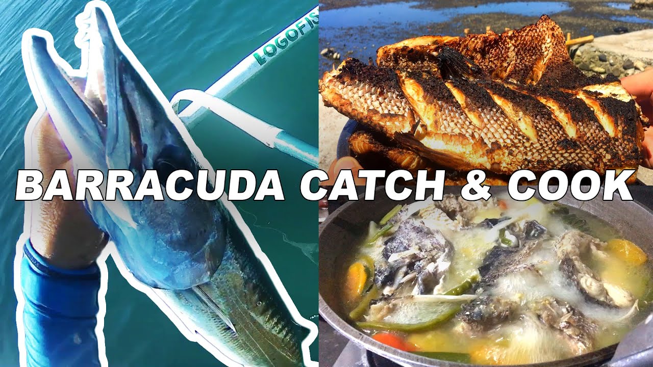 Barracuda Catch and Cook | Grilled and Tinola Barracuda Fish - YouTube