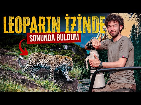 TÜRKİYE'DE ANADOLU PARSI'NI BULMAK! (DÜNYA'NIN EN BÜYÜK LEOPAR ALT TÜRÜ)