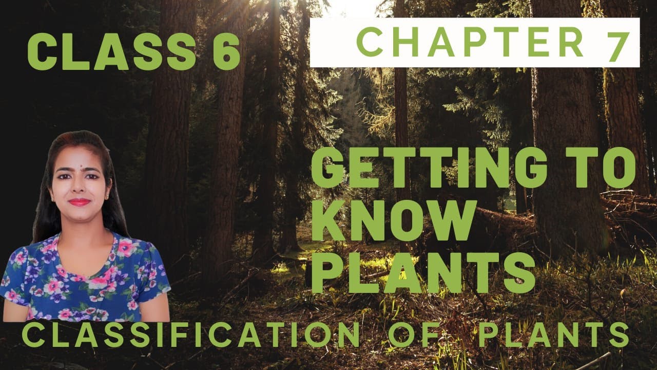 Classification of Plants II Getting to know Plants II Ch- 7 II Class 6 ...