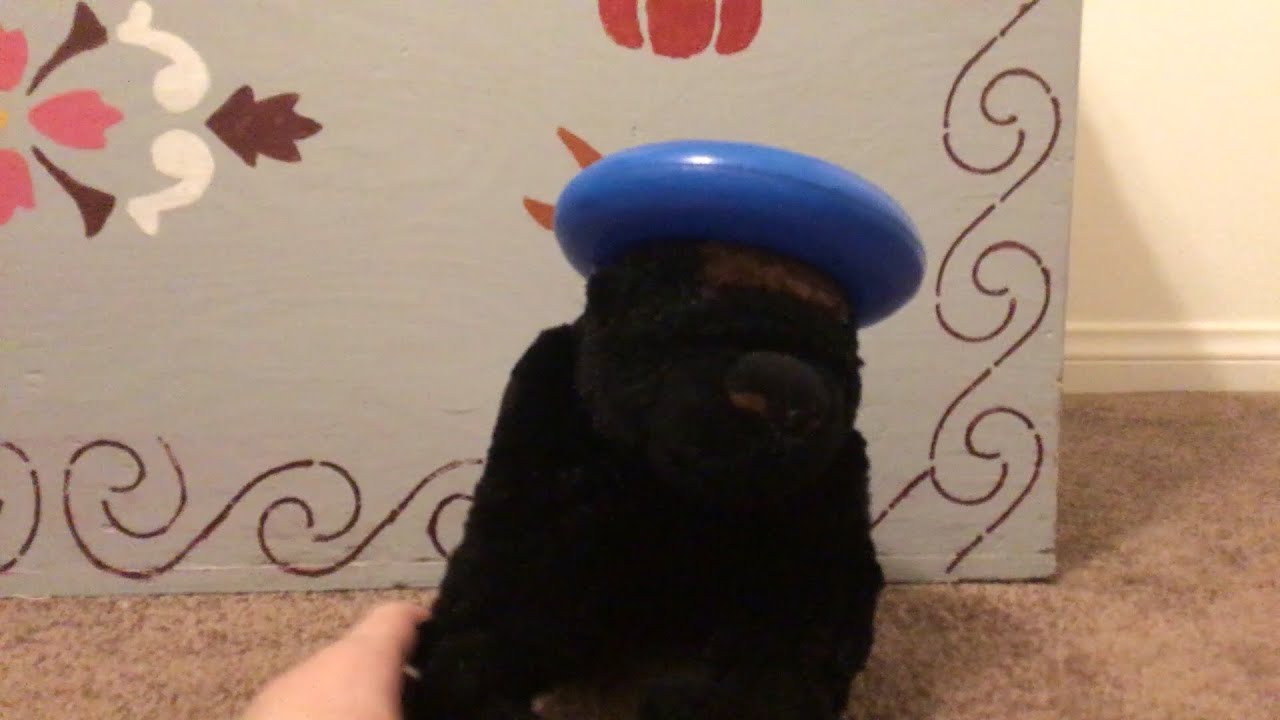 The Stan Wrong Song (Webkinz Gravity Falls) - YouTube