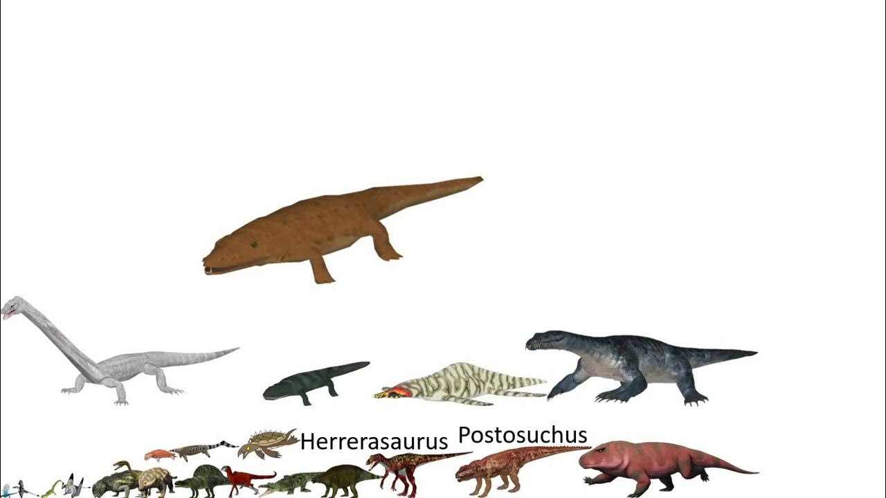 Triassic period size comparison (Animals, Dinosaurs, and Sea monsters ...
