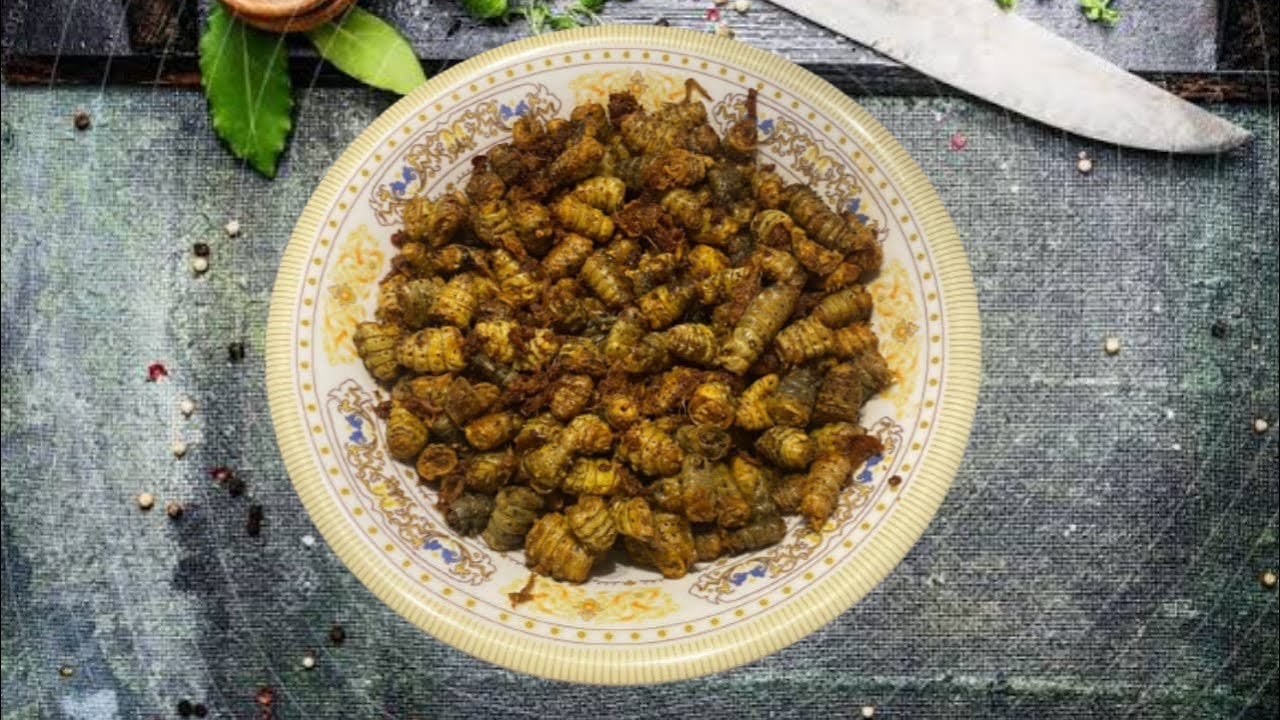 Silkworm recipe || silkworm fry recipe - YouTube