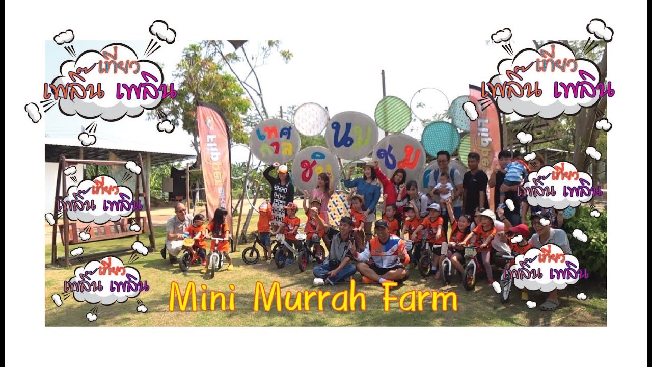 mini murrah farm จ.ฉะเชิงเทรา /เที่ยวเพลิ๊นเพลิน Tiewploenploen - YouTube